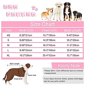 Due Felice Dog Recovery Suit Female Male Dog Onesie for Surgery, Fit for Small Dog Breed Dog Body Suits After Surgery Dog Surgical Suit Pink Swan/S