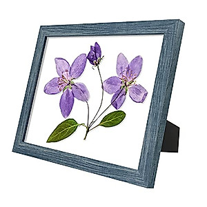 Frametory, 8.5x11 Picture Frame with Glass, Tabletop & Wall Horizontal or Vertical Display, 8 1/2 x 11 Photo Frame for Diploma, Documents (Blue, 1-Pack)