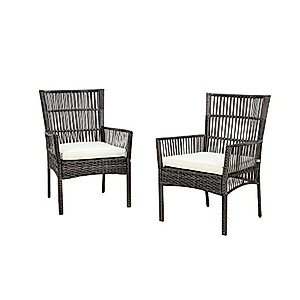 LOKATSE HOME 2 Pieces Outdoor Wicker Chair Metal Dining Armchairs with Cushion, Beige