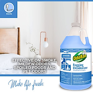 OdoBan Fogmaster Jr. Electric Handheld Fogger and Fogging Deodorizer 2-Pack, 1 Gallon Each