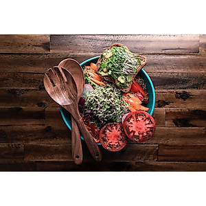 Sulforaphane MICROGREEN Seed Mix | Perfect for Microgreen Growing Trays | Kale, Cabbage, Turnip & Broccoli Sprouting Seeds | Non GMO Heirloom Seeds | 1 LB Resealable Bag | Rainbow Heirloom Seed Co.