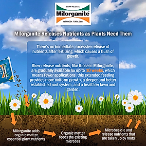 Milorganite All-Purpose Eco-Friendly Slow-Release Nitrogen Lawn Fertilizer 6-4-0, 32lb
