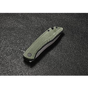 CMB Made Knives 3"Blaze Black D2 Liner Lock Flipper Folding Pocket Knife Green Micarta Handle Camping EDC CMB-06G (Green)