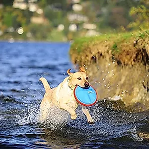 ChuckIt! Paraflight Flyer Dog Frisbee Toy Floats On Water; Gentle On Dog's Teeth And Gums; Large