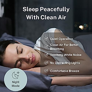 94 HEPA Air Purifier | Quickly Reduces Dander, Dander, Dust, Smoke, Pollen | Whisper Quiet Operation with 3 Stage Air Filtration | 705 Sq Ft of Clean Air | 1 Year Warranty