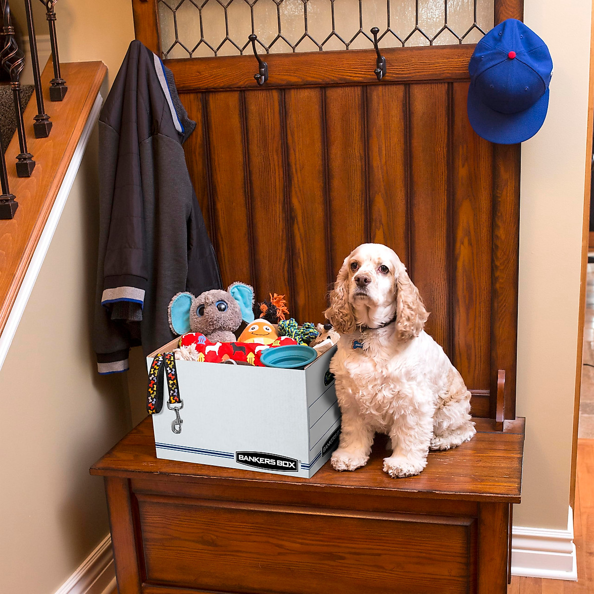 Bankers Box 0071301 STOR/File Storage Box with Lift-Off Lid, Letter/Legal, 12 x 10 x 15 Inches, White, 12 Pack