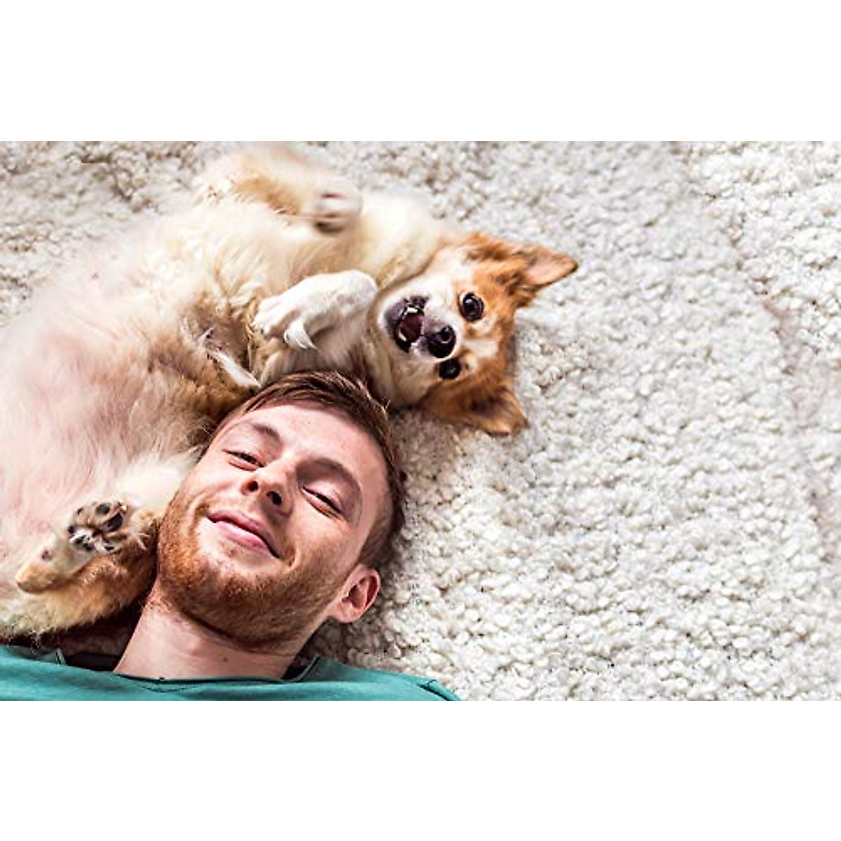 NutriChomps Dog Chews, 6-inch Braids, Easy to Digest, Long Lasting, Rawhide-Free Dog Treats, Healthy, 4 Count, Real Milk flavor