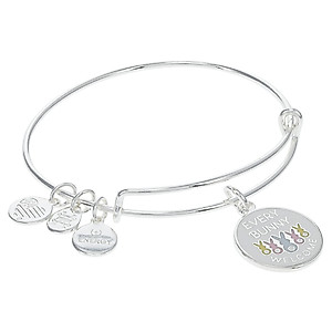 Alex and Ani AA612922Expandable Bangle BraceletSS,Words are Powerful, Every Bunny Welcome Expandable Bangle Bracelet,Shiny Silver,Multi,Bracelet