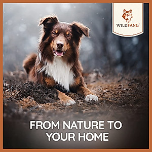 Wildfang® Leather Bones for Dogs | Dental Care, Snack & chew Toys | Leather Chewing Bones