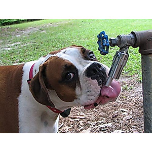 Lixit Pet Dog Waterer Faucet Outdoor Water Fountain Thirst Quencher MADE in USA