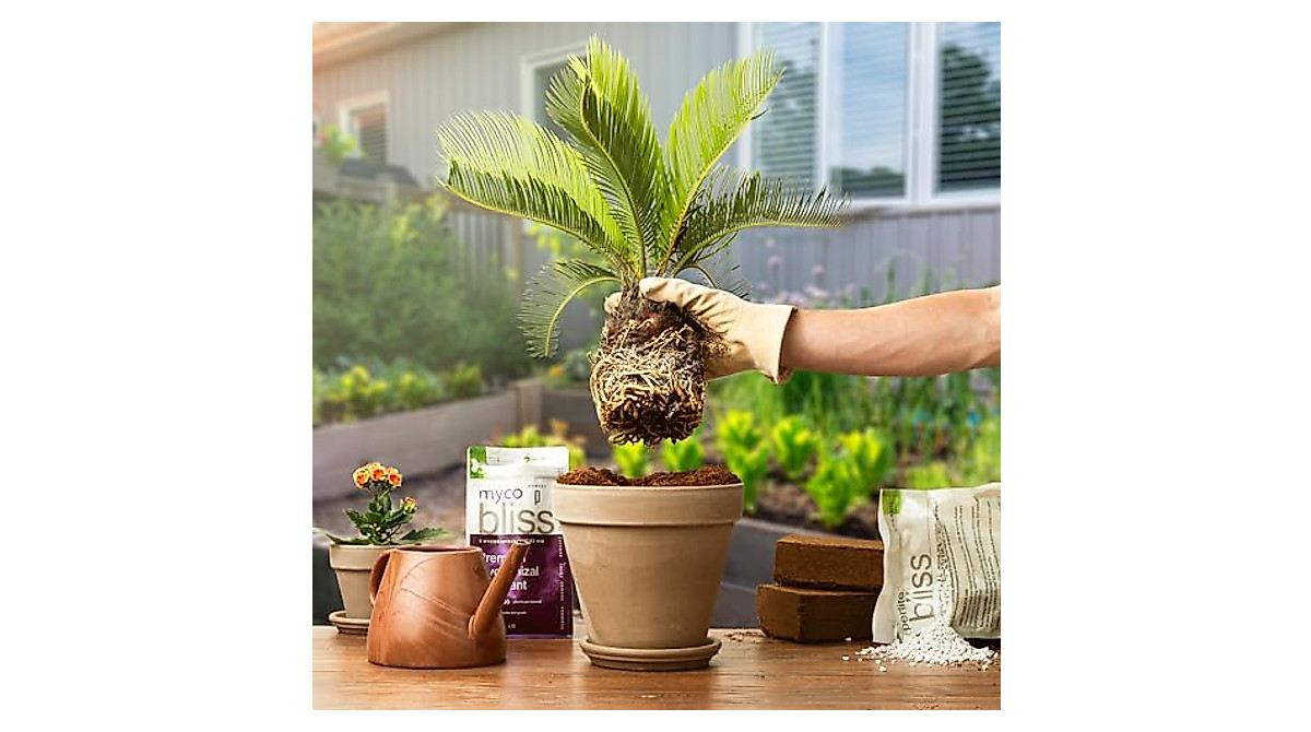 Myco Bliss Powder - 5 Strain Mycorrhizal Inoculant for Healthy Plants