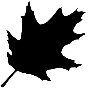 24x36 Oak Leaf Stencil Made from 4 Ply Matboard