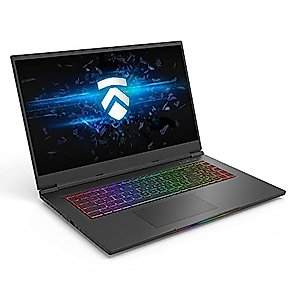 Eluktronics MAX 17 (2022) 17.3" Gaming Laptop: Intel Core i7-12700H, NVIDIA RTX 3060, Thunderbolt 4, 1TB PCIe Gen 4 SSD, 16GB DDR5 RAM, Windows 11 Home, 17.3 inch QHD 240Hz Ultra Light Notebook
