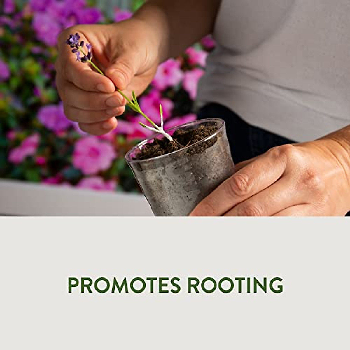 Garden Safe Take Root Rooting Hormone, Promotes Rooting, Grow New Plants From Cuttings, 2 Ounce