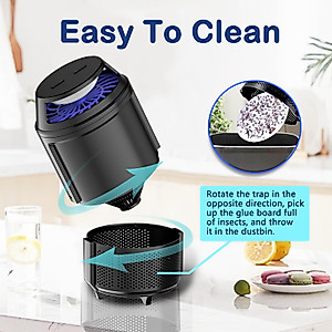 Zaioo Fly Trap Indoor Non-Zapper Mosquito Trap 2 Modes Insect Traps Indoor Plug in Gnat, Fruit Fly, Bug Catcher for House with 4 Sticky Glue Boards