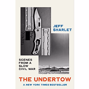 The Undertow: Scenes from a Slow Civil War