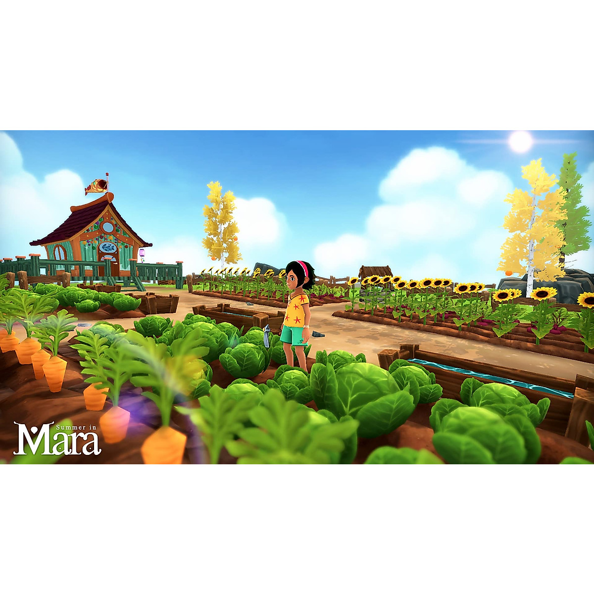 Summer in Mara - PlayStation 4