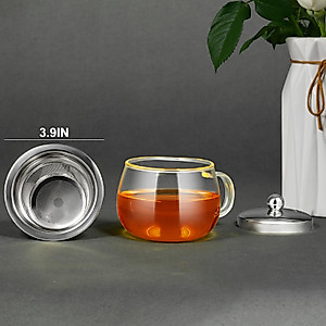 PARACITY Tea Cup with Infuser and lid, Glass Tea Cup of Heat Resistant Glass, 13oz Tea Mug, Clear Teacup for Loose Tea, Blooming Tea, Tea Bag, Tea Cup with Strainer for Family Daily