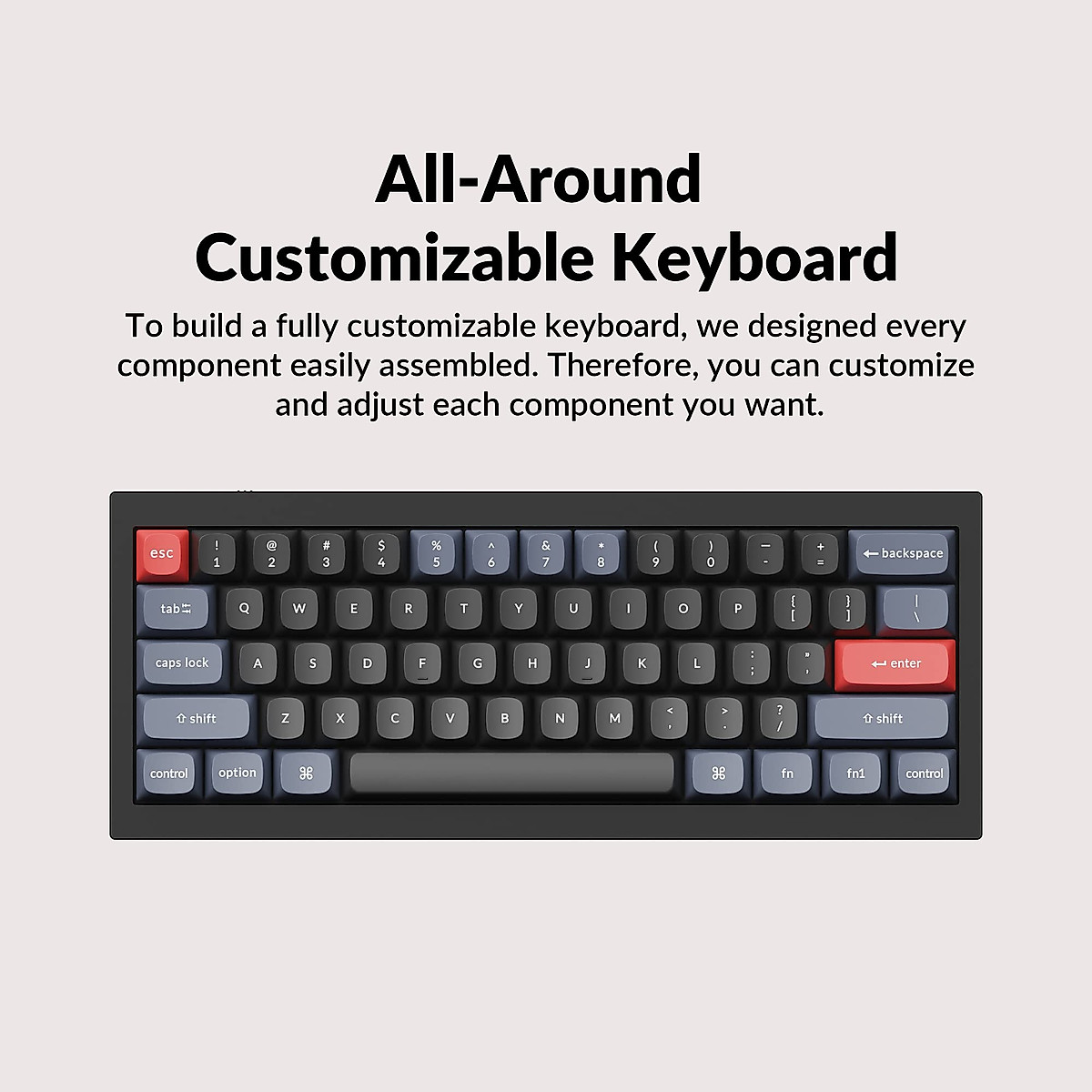 Keychron Q4 Wired Custom Mechanical Keyboard, QMK/VIA Programmable Macro, Full Aluminum, Hot-Swappable Gateron G Pro Red Switch, 60% Layout Double Gasket Compatible with Mac and Windows - Black