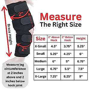 AGON® Dog Leg Braces for Back Leg wrap hock Compression Protects Wounds and Helps heal hind Legs Rear Ankle Joint, preventing Injuries, sprains Providing Stability for Dogs, Canines Arthritis (Small)
