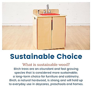 ECR4Kids Play Kitchen Sink, Wooden Playset, Natural