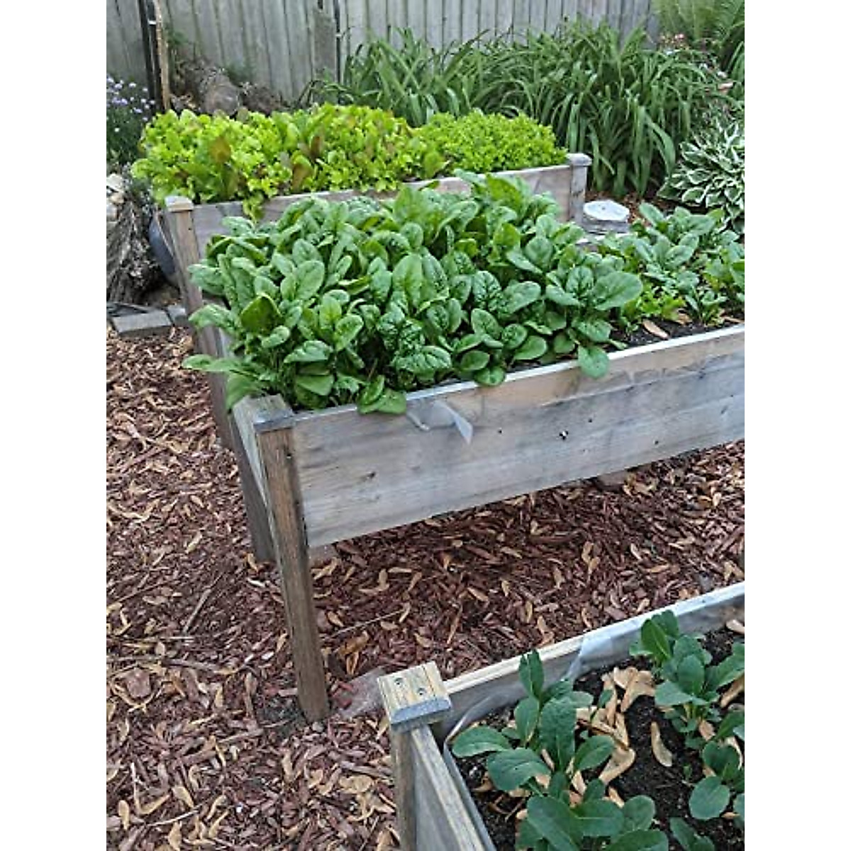 Clay Olla - Quart Sized - Ideal for Elevated Garden Planters, Grow Bags or 14" - 18" Pots