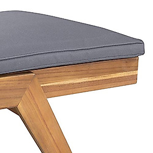 Christopher Knight Home 314843 Caily Chaise Lounge Set, Teak Finish + Dark Gray