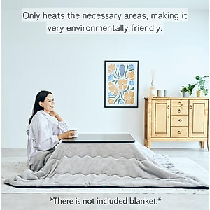 KEN JAPAN KB-75US(BK) Kotatsu Heater Table with 120V Electric Heater Low-Lying Dining and Work Desk Square W29.5xD29.5xH15inches Table top Surface Reversible Gray Brown Color Home and Living