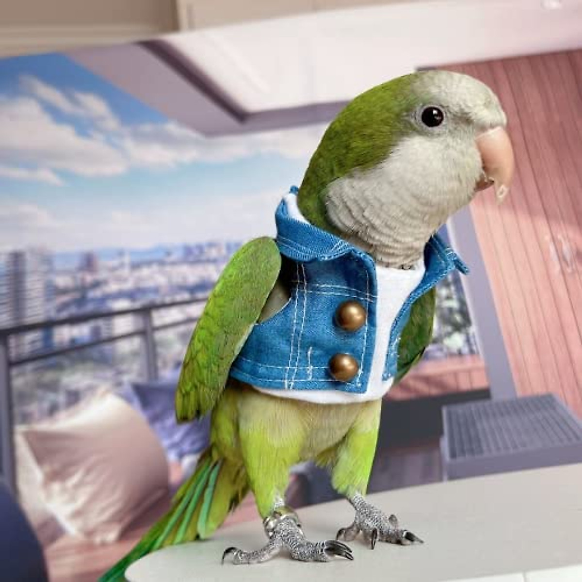 Bird Costume Bird Diaper Flight Suit Bird Jeans Fake Two Pieces Bird Clothes Cosplay Photo Prop for Parrots Lovebird Parakeet Cockatiel Small Animals Apparel (Without Diaper,Cockatiel)