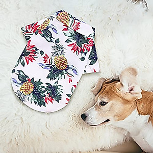 Pet Summer T Shirts Hawaii Style Floral Dog Shirt Hawaiian Printed Pet T Shirts Breathable Cool Clothes Beach Seaside Puppy Shirt Sweatshirt for Small Puppy Dog Fleece Pink (White, XL)