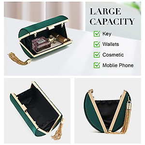 WEIMZC Women Clutch Bag for Evening, Fringed Evening Handbag,Lady Party Wedding Purse, Chain Cross Body Bag(Green)