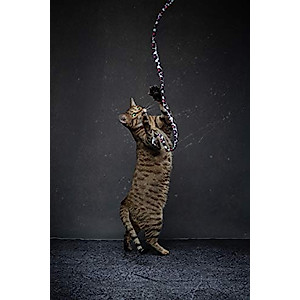 CAT DANCER Jungle Cat Wand 2 Pack, Multi Color (305),Medium Breeds