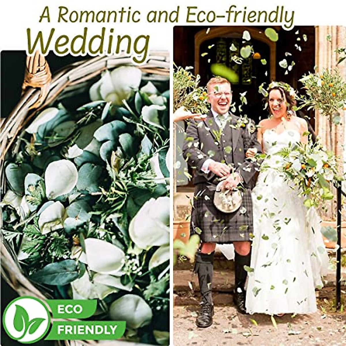 1600+ Small Preserved Real Eucalyptus Leaves, 100% Natural Bulk Eucalyptus, Biodegradable Wedding Leaves Confetti for Anniversaries, Birthday, Graduation, Bridal Showers, Baby Shower Party Decor