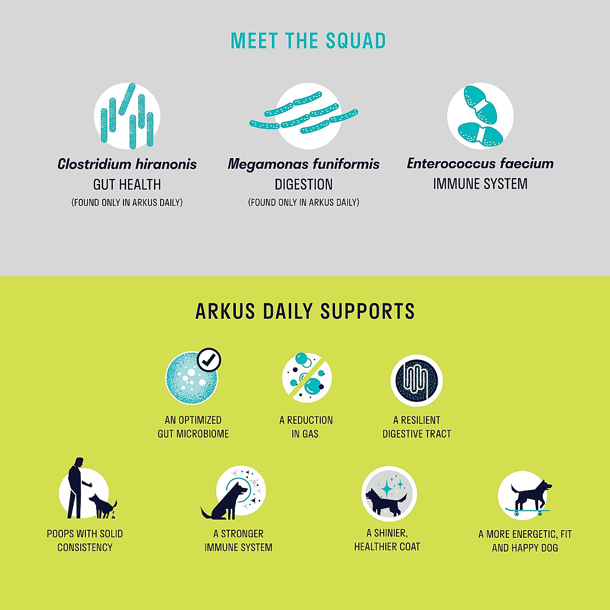 ARKUS Daily Dog Probiotic, The Only Product Made with Microbes That are Natural to The Gut of Healthy Dogs, Supports Better Digestion, Gut Health, and Immune System, Maintains a Healthy Microbiome