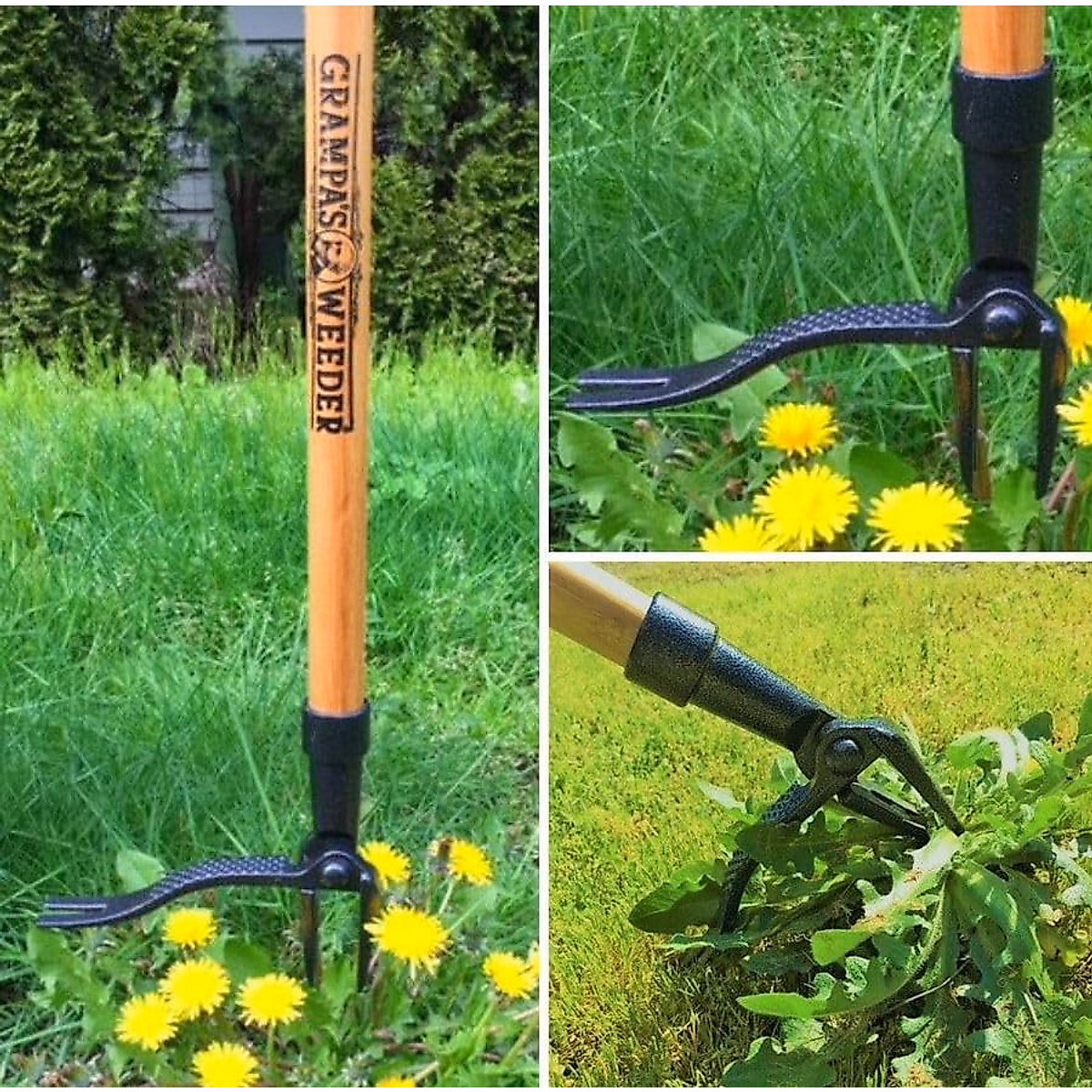 Grampa's Weeder - The Original Stand Up Weed Puller Tool with Long Handle - Made with Real Bamboo & 4-Claw Steel Head Design - Easily Remove Weeds Without Bending, Pulling, or Kneeling