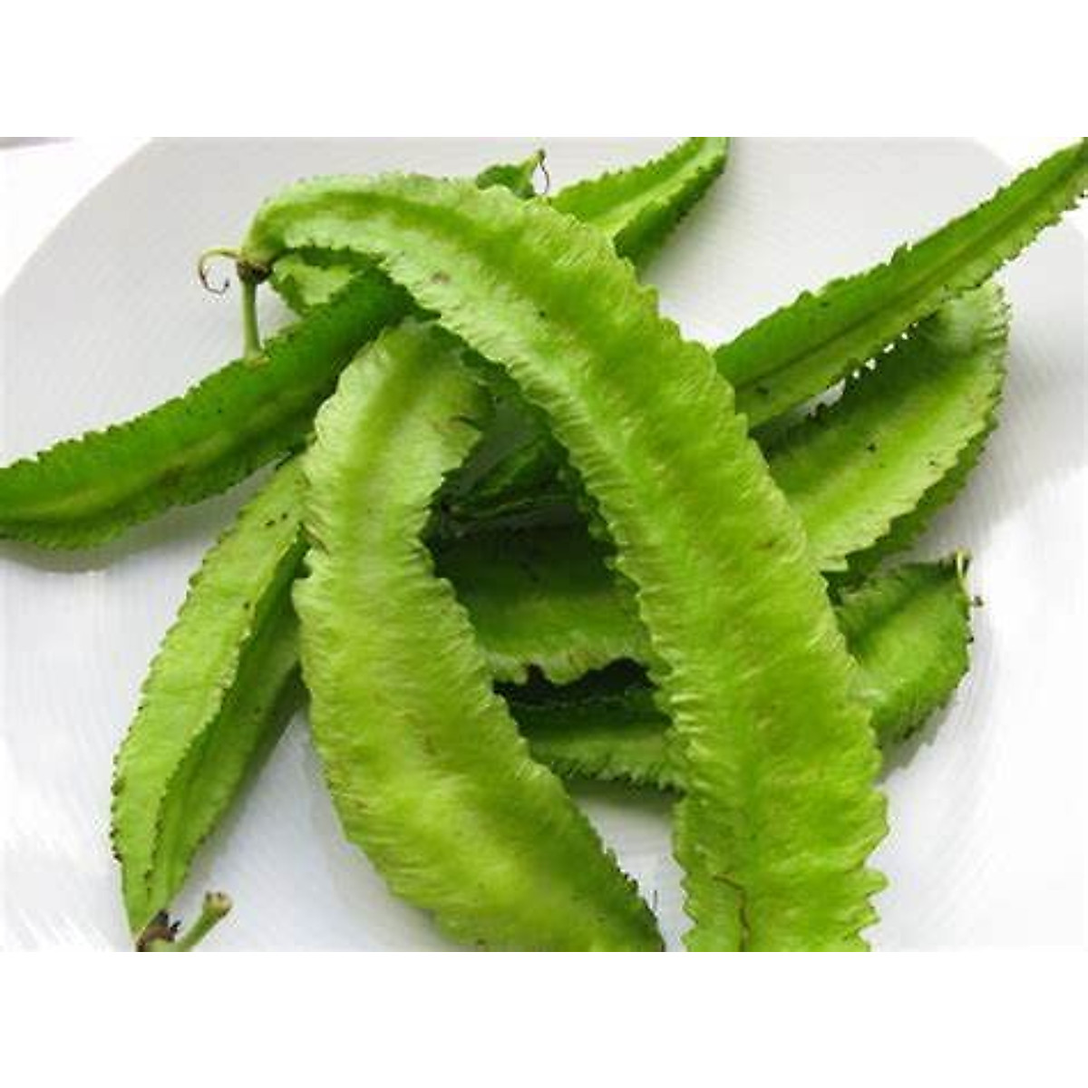 20+ Winged Bean Seeds Dragon Goa Asparagus Sigarilyas Chathura Payar Non GMO Heirloom