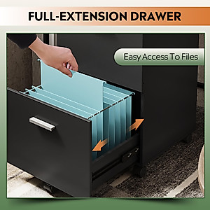 DEVAISE 2 Drawer File Cabinet, Mobile Printer Stand, Wood Filing Cabinet fits A4 or Letter Size for Home Office, Black