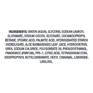 Dove Nourishing Foaming Hand Wash Aloe and Eucalyptus Touchless Battery Operated Dispenser Kit Moisturizing Foaming Hand Wash Refill 10.1 oz