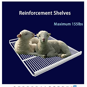 Aceland ETL Certified Commercial Freezer 2 door Stainless Steel Reach in Solid door Upright Fan Cooling Cooler for Restuarant,Bar,Shop,Residential 49 Cu.ft (Commercial Kitchen Equipment)