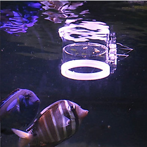 Fish Tank Suction Cup Feeder Acrylic Transparent Fish Ring Food Feeder Clear Fish Feeding Ring with Anti-Collision Strip for Aquarium Fish Tank