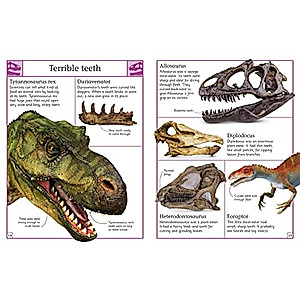 The Big Book of Dinosaurs (DK Big Books)