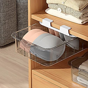 ACGrade Plastic underwear drawer organizer,Underwear organizer for drawer 10 grids/15 grids,Drawer type organizadores de closet with removable dividers,For underwear,panties,socks(13.5inch)