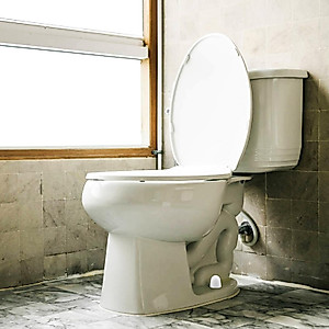 Toilet Floor Bolts and Caps Kit, Universal Toilet Flange Repair Kit Solid Brass Toilet Fixing Bolts and Nuts Set American Standard Toilet Parts Including Toilet Bolt Caps Closet Bolts and Washers