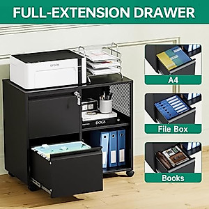 Letaya Mobile File Cabinet, Metal Lateral Rolling Printer Stand Filing Cabinets with Shelves for Home Office-Storage A4/F4/Letter (Black)