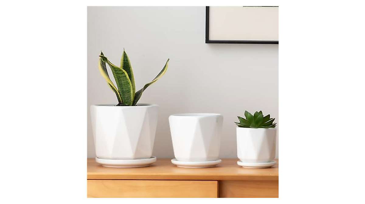 Stylish Octagon Ceramic Plant Pots - Set of 3