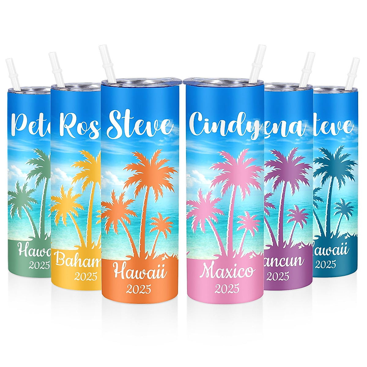 Personalized Tumbler with Name, Custom Beach Vacation Tumblers for Family Friends, Girls Weekend Gifts, 2025 Girls Trip Skinny Tumbler with Lid and Straw, Cruise Trip Gifts, Family Vacation Cups