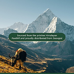 Authentic Himalayan Yak Cheese for Dogs - XLarge (Pack of 2) - Sourced from Pristine Himalayan Foothill, Rawhide-Free, NO preservatives