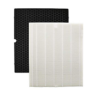 Colorfullife 116130 Replacement Filter H for Winix 5500-2 Air Purifier, HEPA Filter and Activated Carbon Filter Combo Pack, Replacement Part 116130