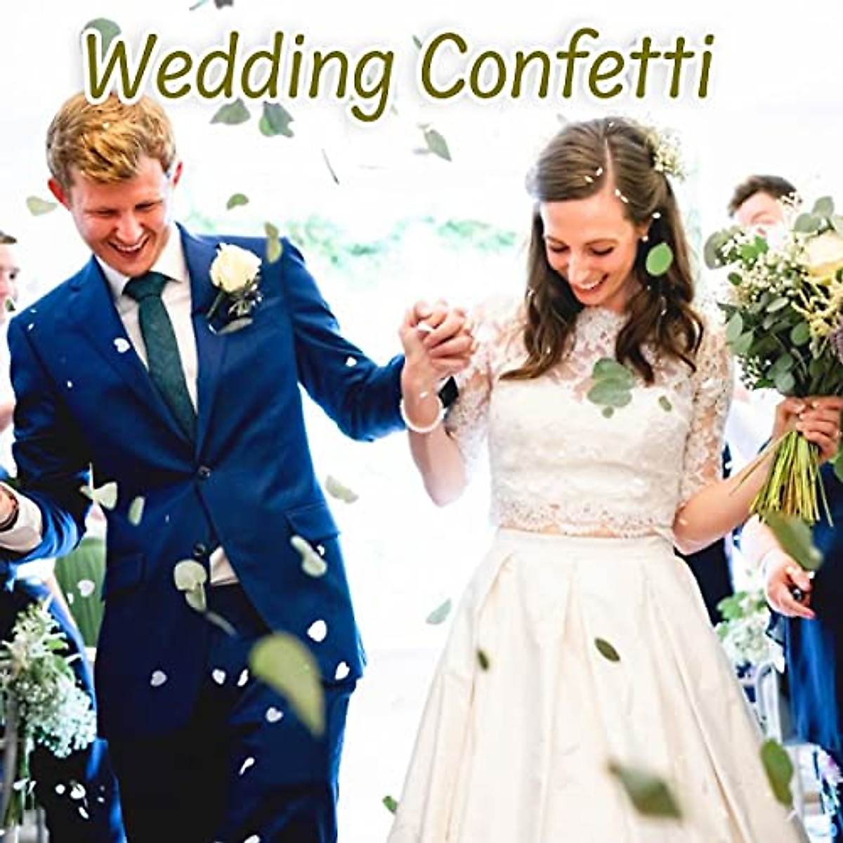 1600+ Small Preserved Real Eucalyptus Leaves, 100% Natural Bulk Eucalyptus, Biodegradable Wedding Leaves Confetti for Anniversaries, Birthday, Graduation, Bridal Showers, Baby Shower Party Decor