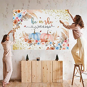 Mocsicka Pumpkin Gender Reveal Backdrop Autumn Fall Pumpkin Baby Shower Party Decorations Boy or Girl Thanksgiving Pumpkin Gender Reveal Party Cake Table Banner (Blue/Pink, 8x6ft(96''x72''))